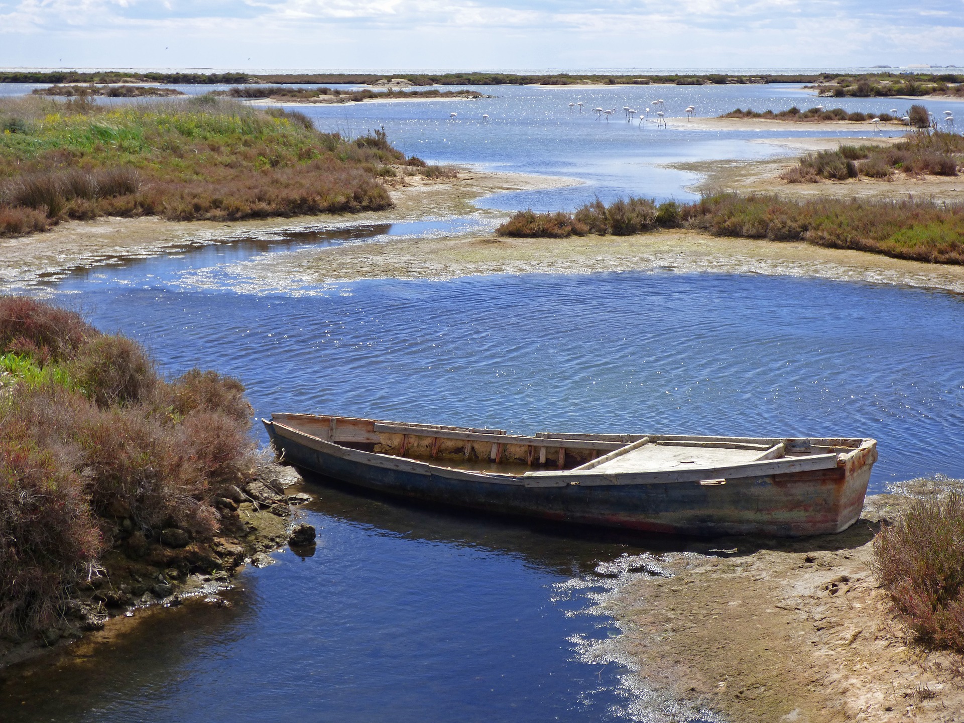 Que ver en el Parque Delta del Ebro en tu viaje fin de curso